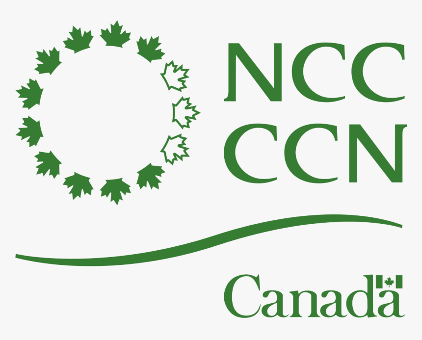 National Capital Commission Logo, HD Png Download , Transparent Png ...