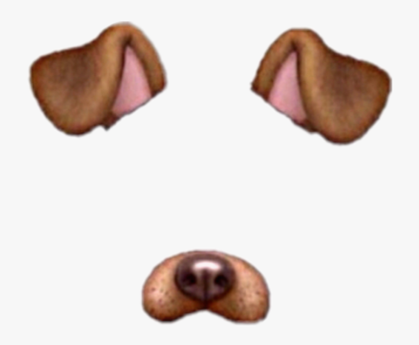Snapchat Dog Filter Png, Transparent Png , Transparent Png Image - PNGitem