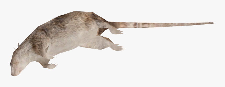 Dead Rat Enrichment - Dead Rat Transparent Background, HD Png Download ...