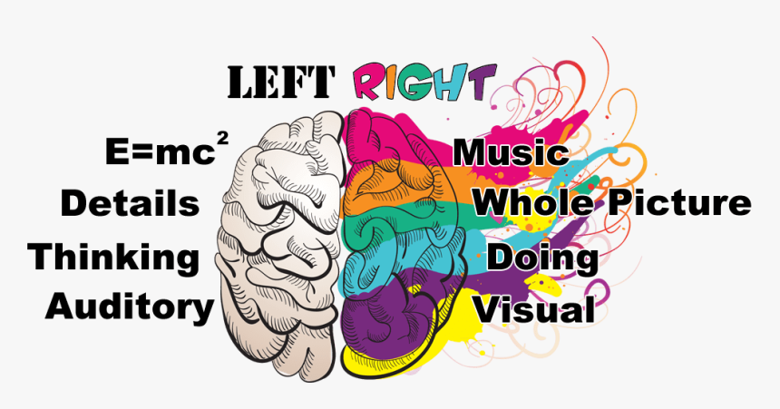 Brain Memory Clipart