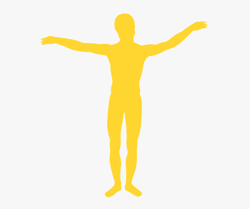Human, HD Png Download , Transparent Png Image - PNGitem