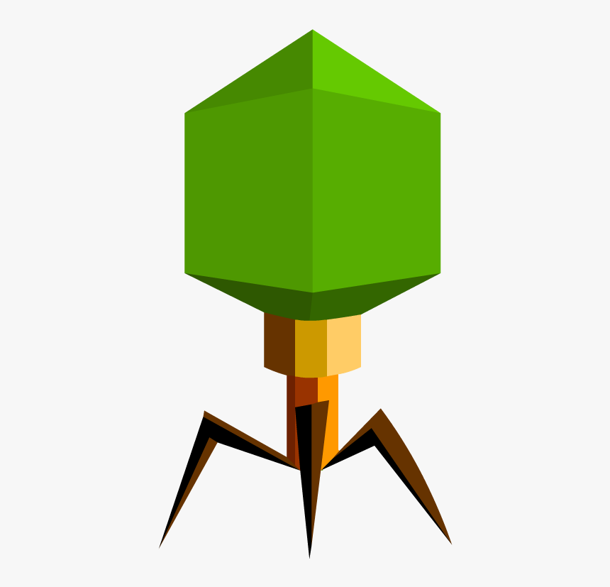 Transparent Immune System Clipart, HD Png Download , Transparent Png ...