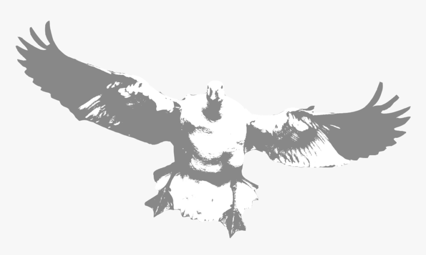Snow - Hawk, HD Png Download , Transparent Png Image - PNGitem