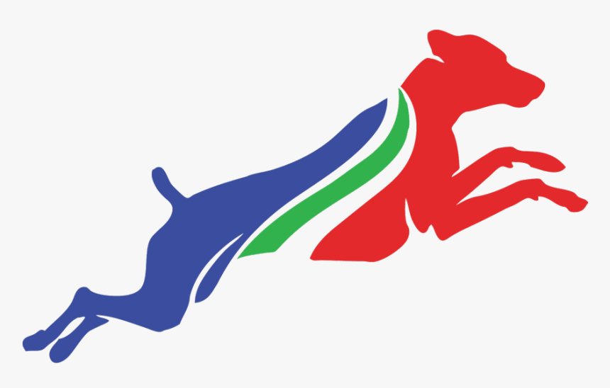 Nadd Logo - North America Diving Dogs Logo, HD Png Download ...