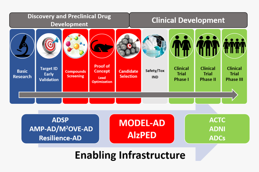 Enabling Infrastructure - Preclinical And Clinical Trials, HD Png ...
