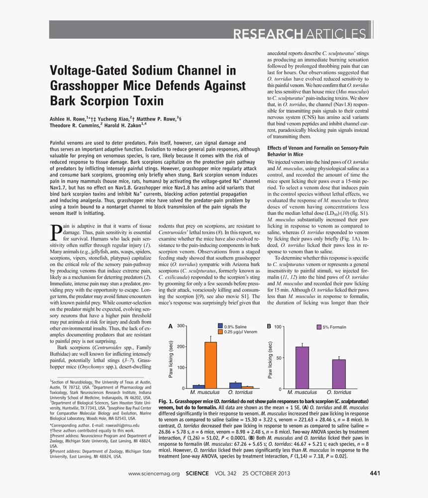 Grasshopper Mouse And Scorpion, HD Png Download , Transparent Png Image ...