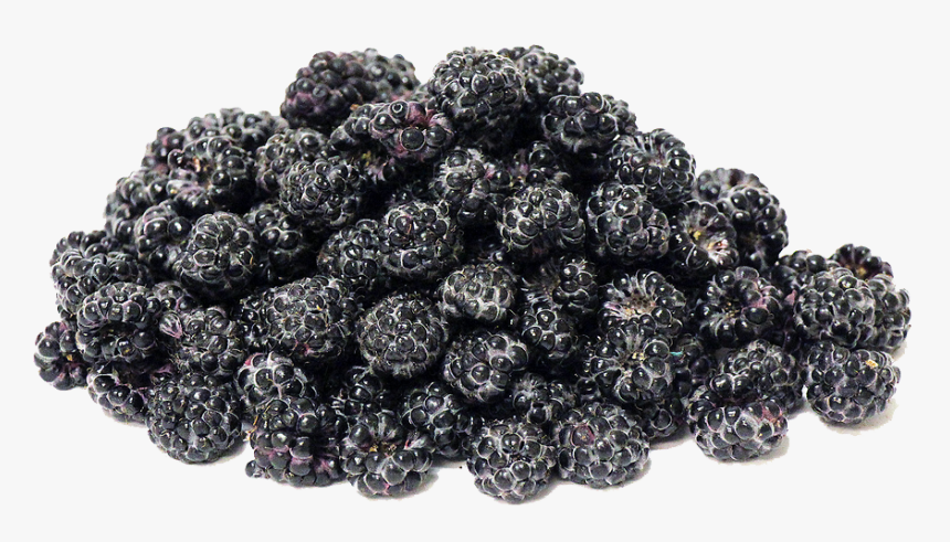 Black Raspberries Png Transparent Image - Black Raspberries Vs ...