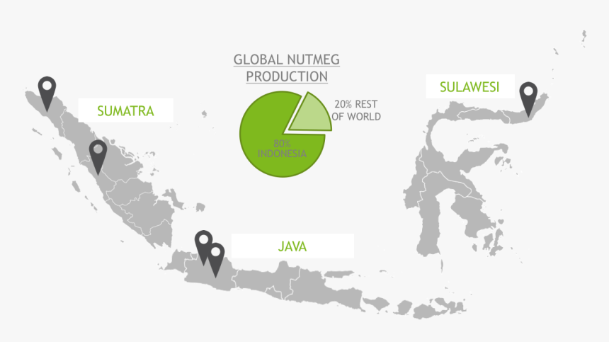 Nutmeg All - Indonesia Map Vector Png, Transparent Png , Transparent ...