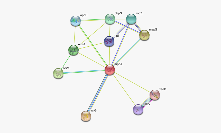 Mpaa Protein - Circle, HD Png Download , Transparent Png Image - PNGitem