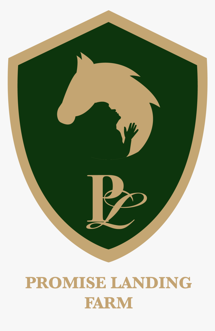 Full House, HD Png Download , Transparent Png Image - PNGitem