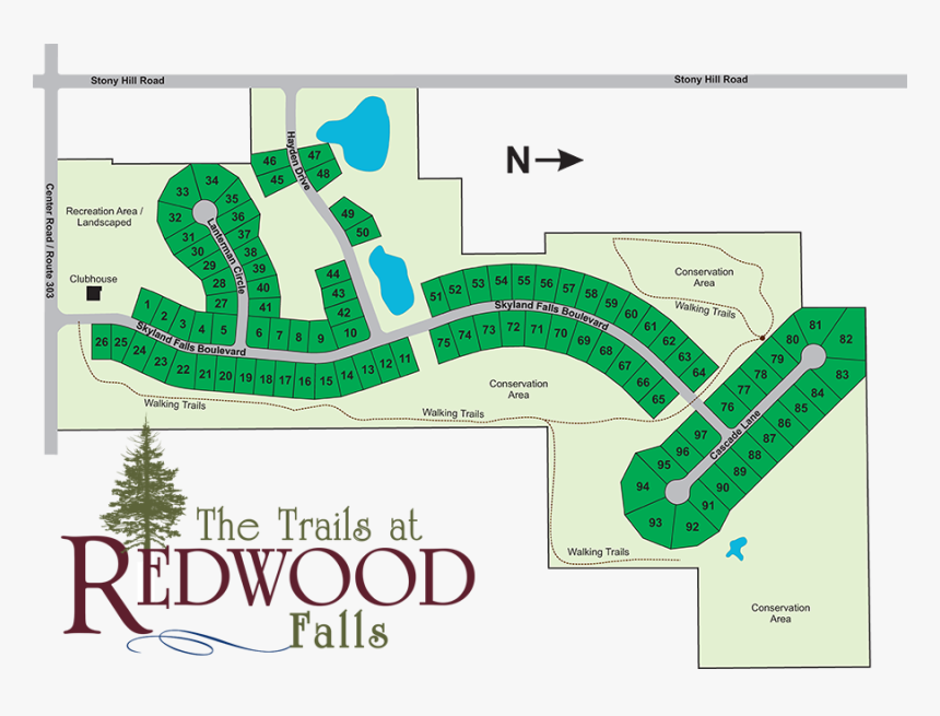 Trails At Redwood Falls, HD Png Download , Transparent Png Image - PNGitem