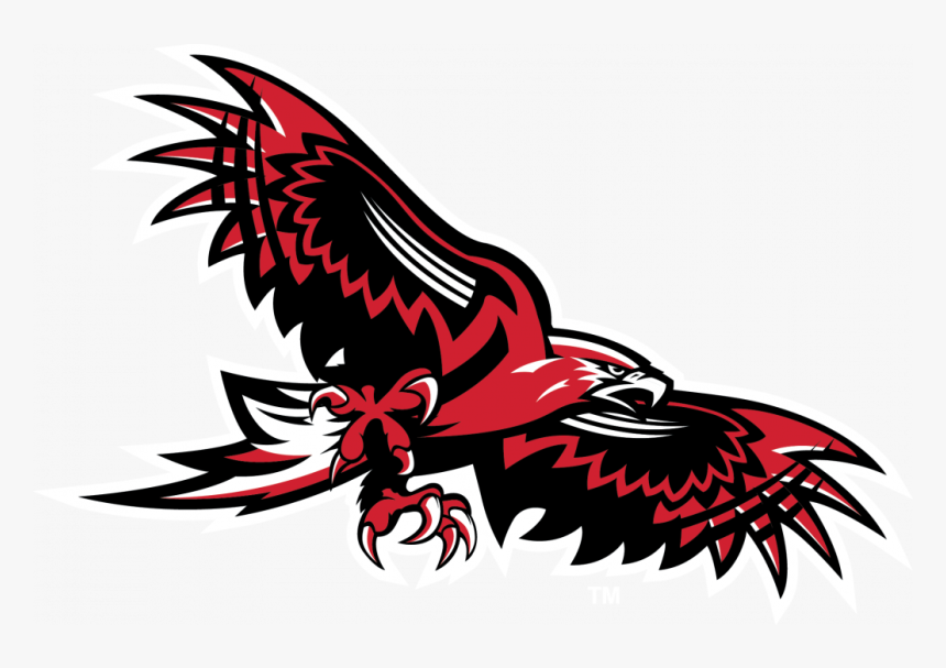 Hawk, HD Png Download , Transparent Png Image - PNGitem