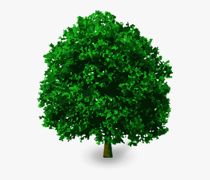 Tree Without Background Png - Transparent 3d Tree Png, Png Download ...