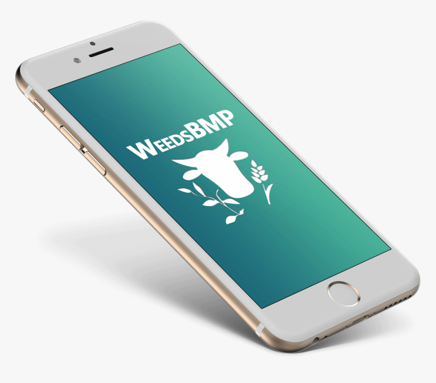 Android Phone Frame Image For Portfolio, HD Png Download , Transparent ...