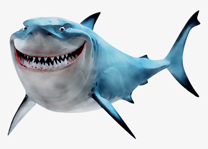 Bruce Great White Shark Portable Network Graphics Finding - Bruce ...
