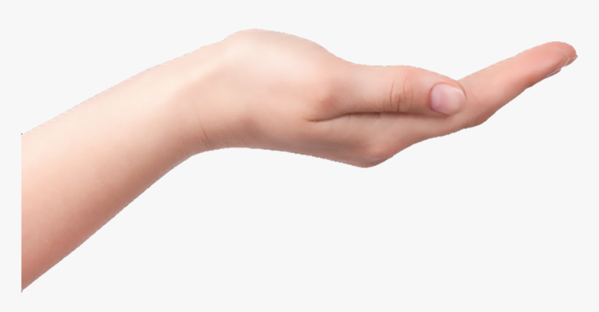 Hands Arms Png, Transparent Png , Transparent Png Image - PNGitem