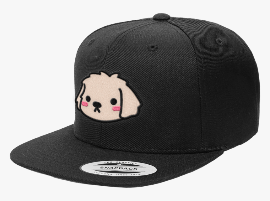 Snapback Hats Png, Transparent Png , Transparent Png Image - PNGitem