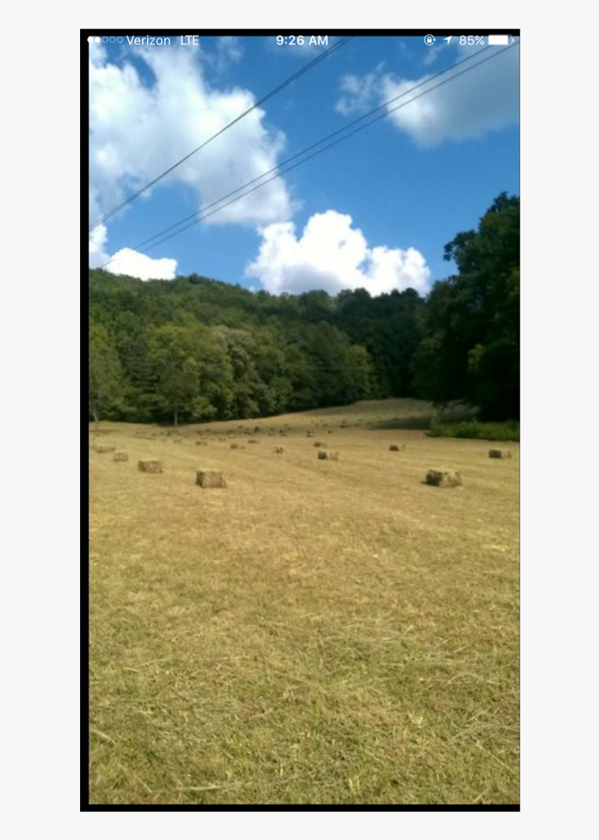 Hay Bail Png, Transparent Png , Transparent Png Image - PNGitem