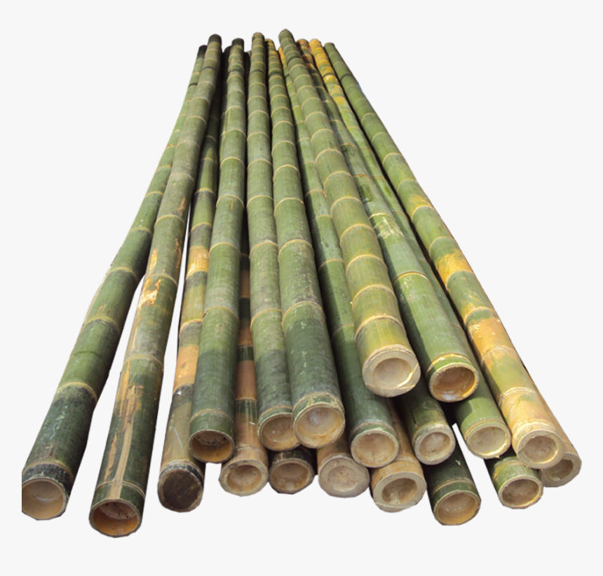 Bamboo Pole Vault Poles, HD Png Download , Transparent Png Image - PNGitem