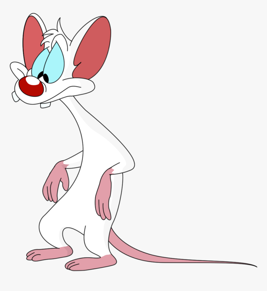 Pinky Mouse Png, Transparent Png , Transparent Png Image - PNGitem