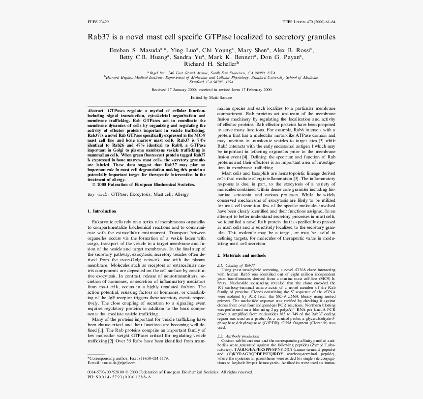 Document, HD Png Download , Transparent Png Image - PNGitem