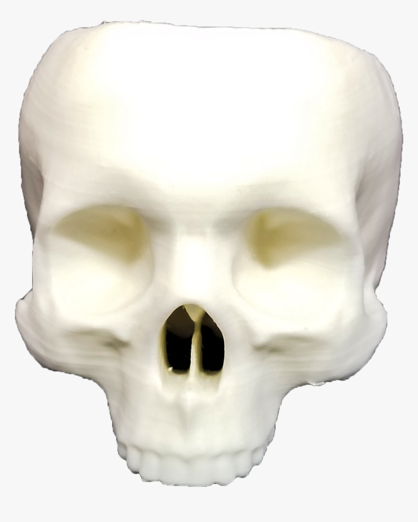 Transparent Skull No Jaw Png, Png Download , Transparent Png Image ...
