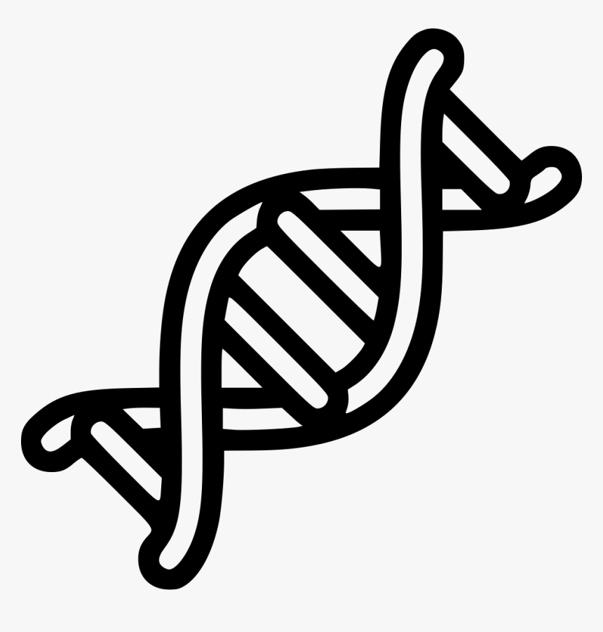 Dna Helix Rna - Double Helix Clipart Dna, HD Png Download , Transparent ...