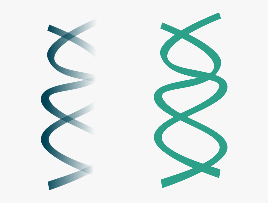 Transparent Dna Clipart Png - Dna And Rna Clip Art, Png Download ...