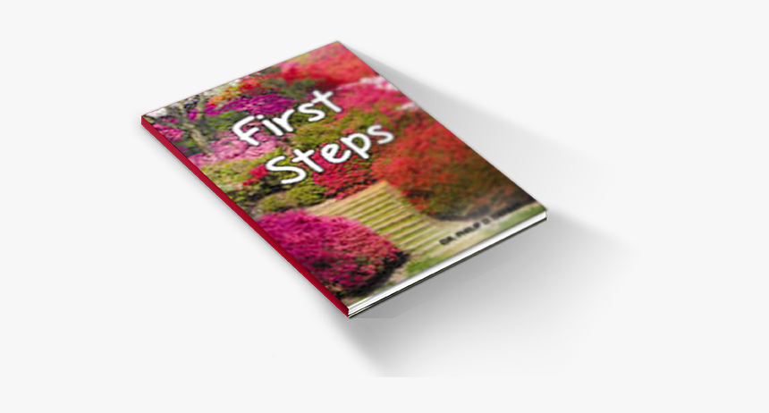 First Steps - Chrysanths, HD Png Download , Transparent Png Image - PNGitem