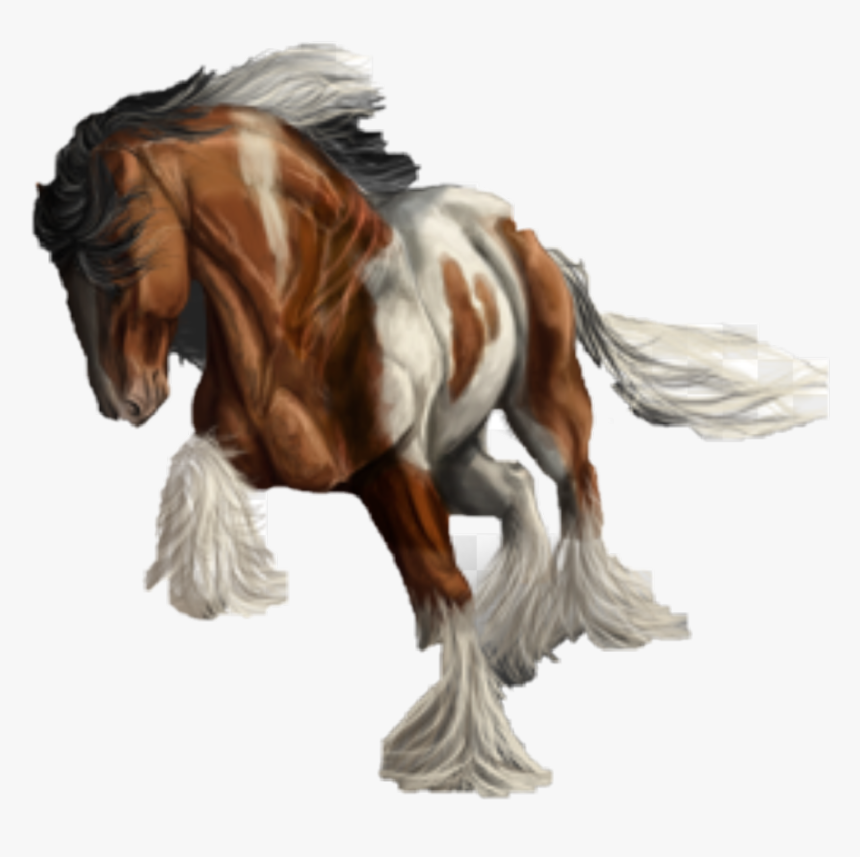 #frison #pinto #caballos, HD Png Download , Transparent Png Image - PNGitem