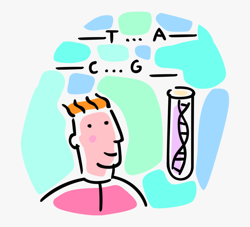 Vector Illustration Of Human Genetics Cytogenetics, HD Png Download ...