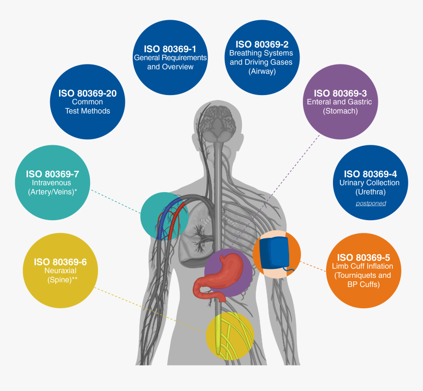 Iso - Graphic Design, HD Png Download , Transparent Png Image - PNGitem