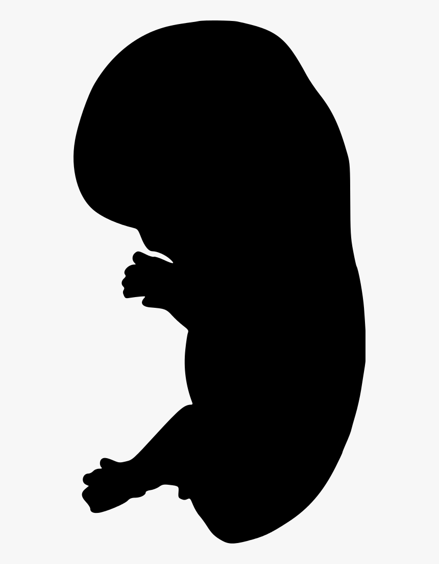 Fetus Silhouette Png