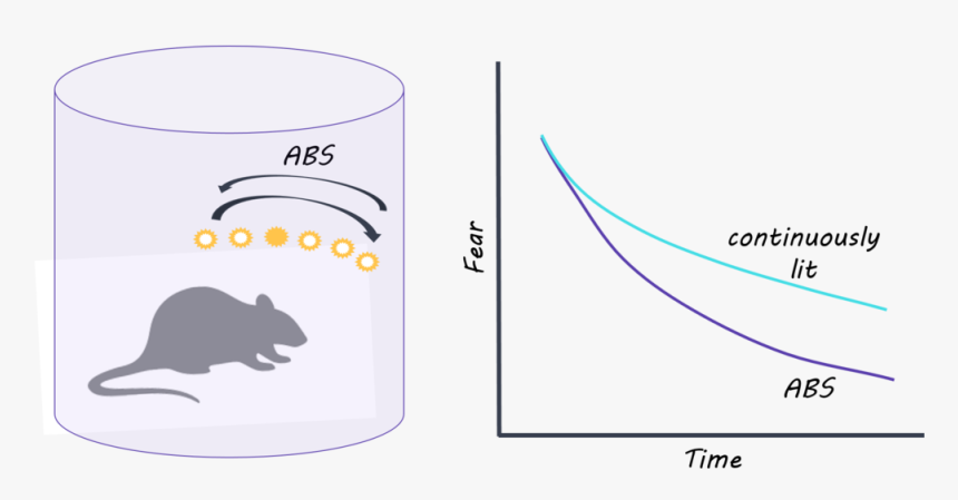 Deb Feb26 - Rat, HD Png Download , Transparent Png Image - PNGitem
