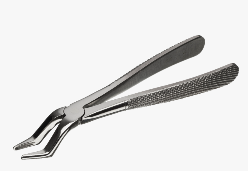 Image For Ash Forceps No - Upper Wisdom Tooth Forceps, HD Png Download ...