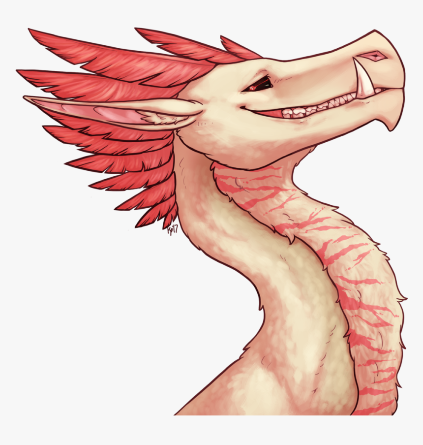 Knou S Smug Grin - Cartoon, HD Png Download , Transparent Png Image ...