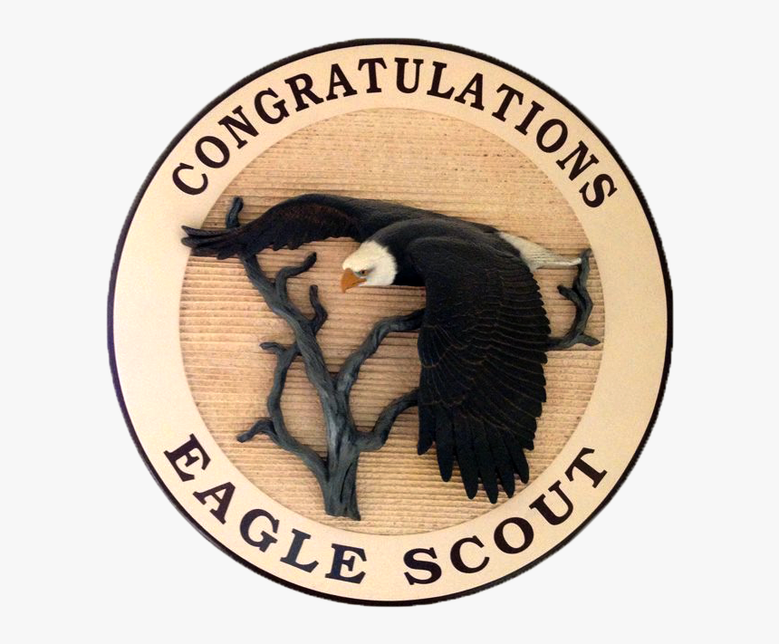 Eagle Scout Congratulations