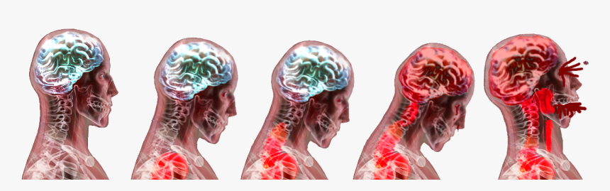 Shadow Plague Plague Inc, HD Png Download , Transparent Png Image - PNGitem