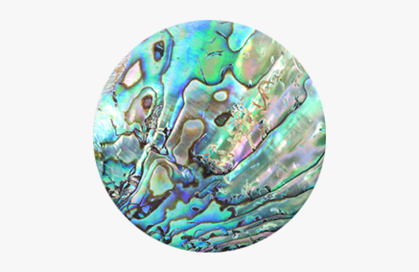 Faux Abalone, HD Png Download , Transparent Png Image - PNGitem