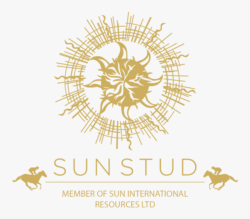 Sun Stud - Suncity Macau Logo, HD Png Download , Transparent Png Image - PNGitem