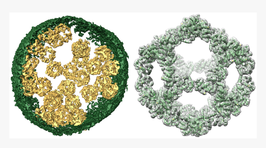 Isosurface Model Of A Vesicle Filled With Nanocages - Circle, HD Png ...