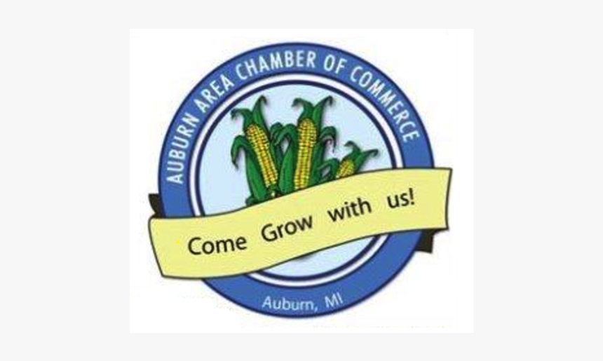 Logo - Starfleet Command Logo Url, HD Png Download , Transparent Png ...