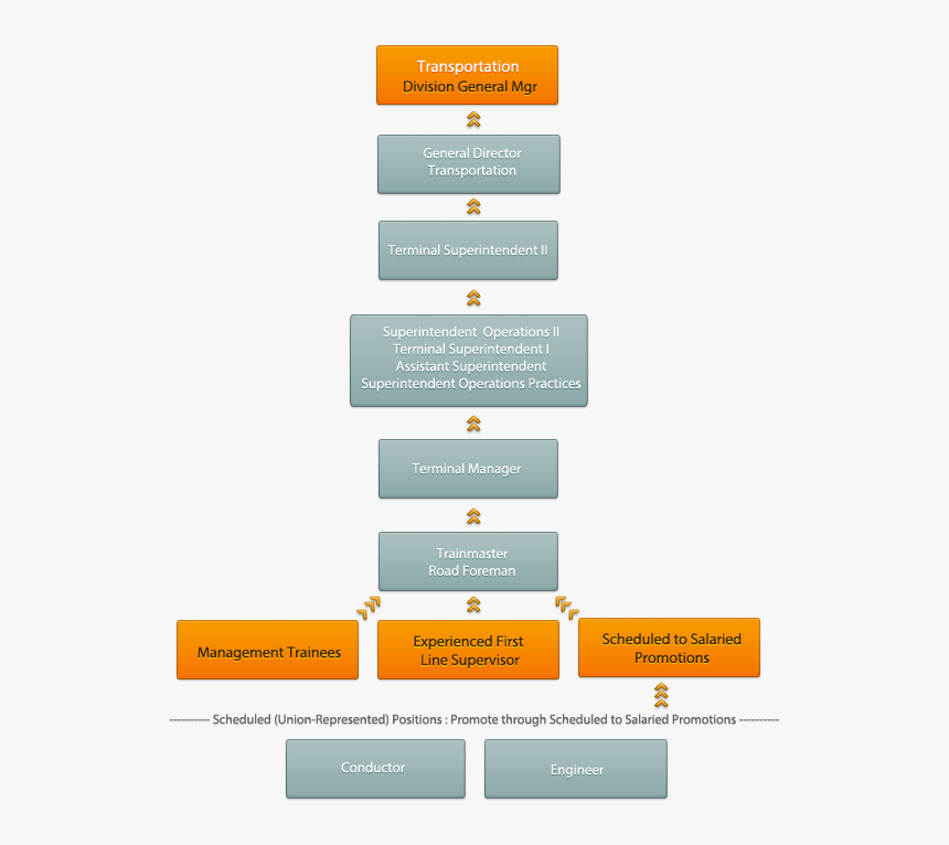 Executive Career Path, HD Png Download , Transparent Png Image - PNGitem