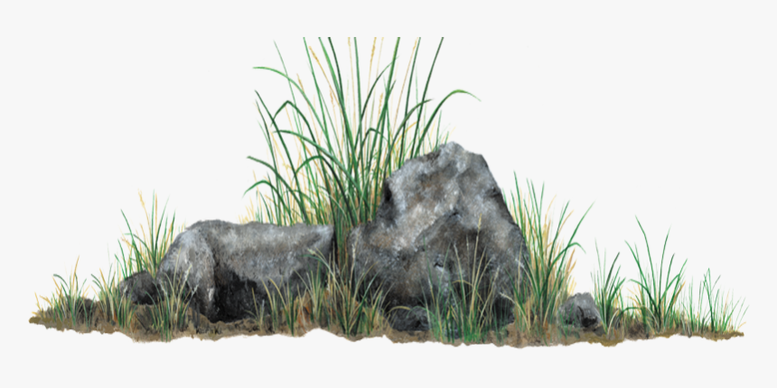 Rock With Grass Png, Transparent Png , Transparent Png Image - PNGitem