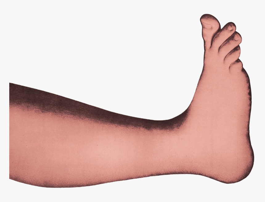 Toe, HD Png Download , Transparent Png Image - PNGitem