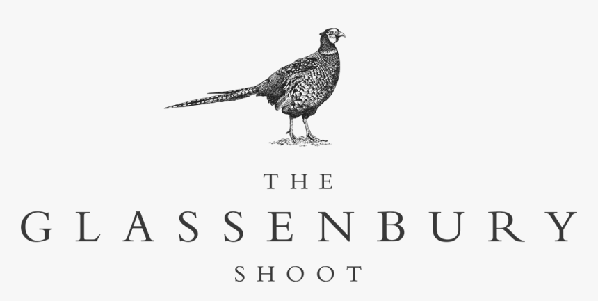 Clip Art Pheasant Logo - Pheasant Shooting Black And White, HD Png ...