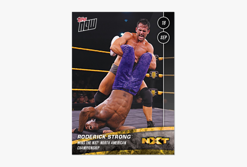 Roderick Strong Wins The Nxt North American Championship - Wwe Nxt, HD ...