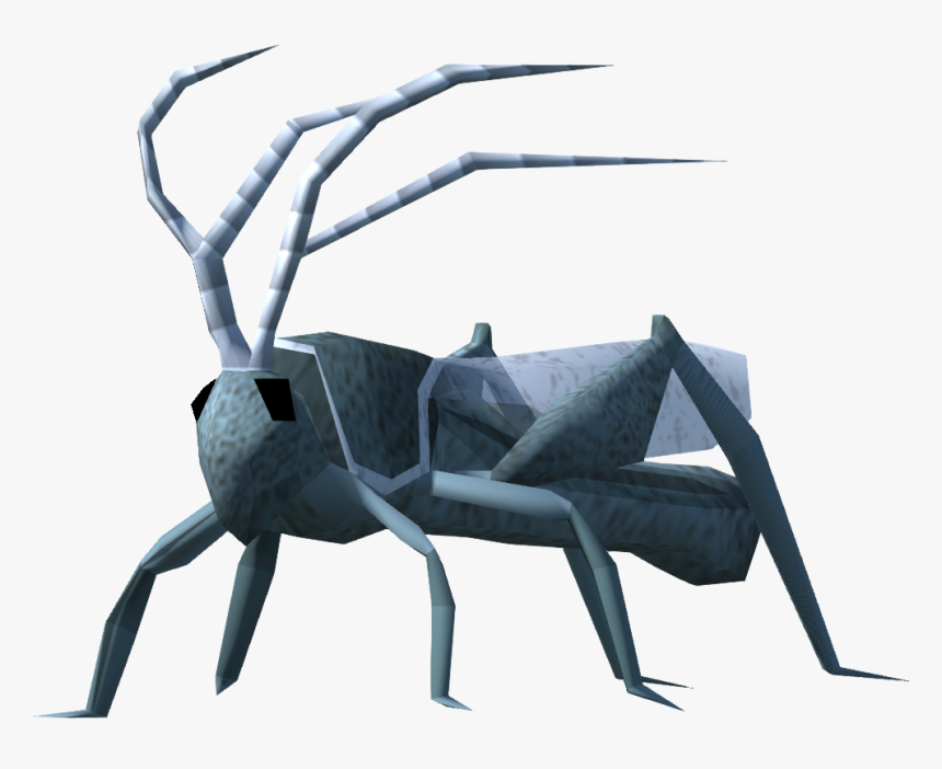 Insect, HD Png Download , Transparent Png Image - PNGitem