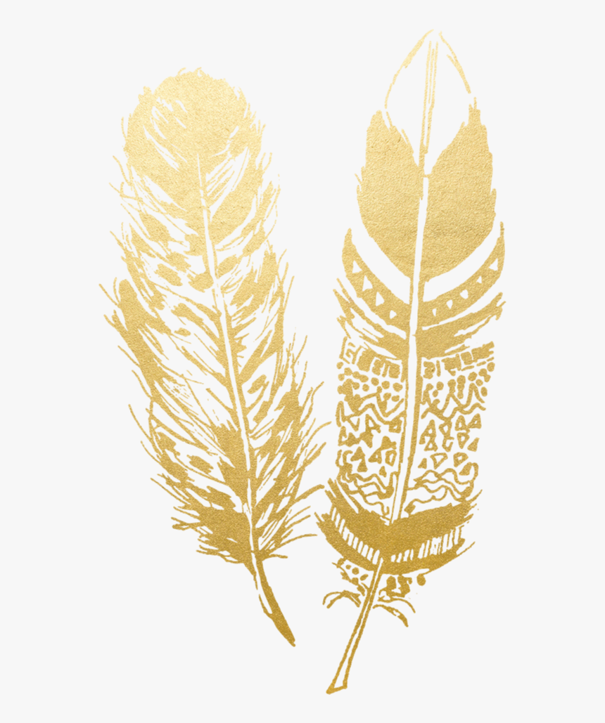 Transparent Feather Png Transparent - Transparent Gold Feather Png, Png ...