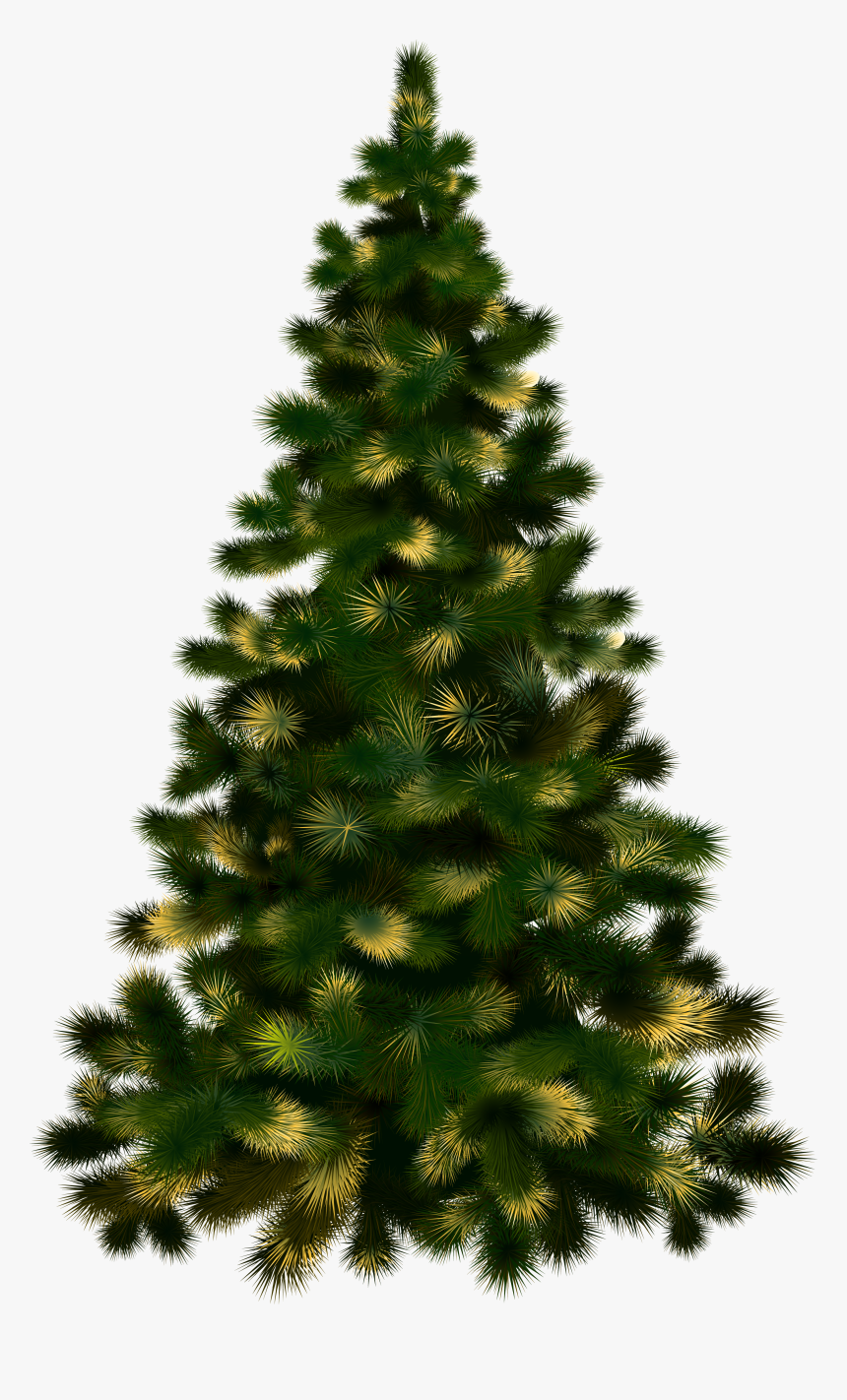 Christmas Tree Without Lights Png Image - Christmas Tree Transparent ...